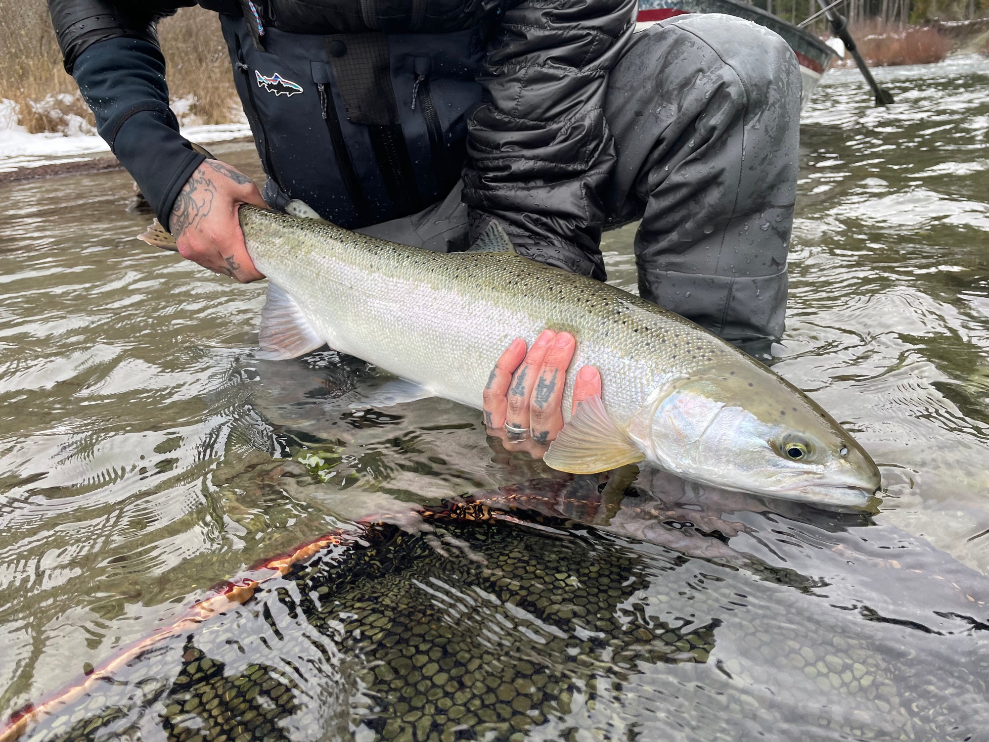 A Blaze In The Northern Fly | Curated Fly Tying Materials & Gear